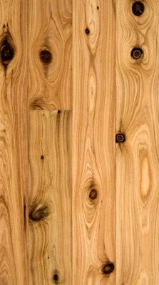1/2" x 3-1/4" Natural Australian Cypress - BELLAWOOD | Lumber Liquidators