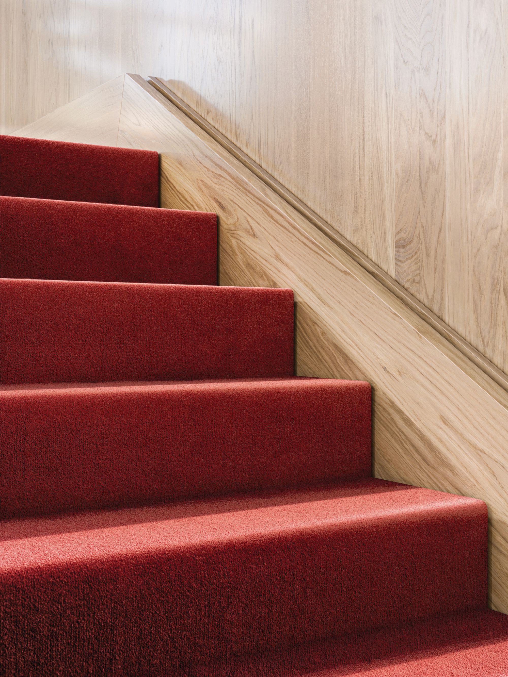 Mohawk Group - Color Study