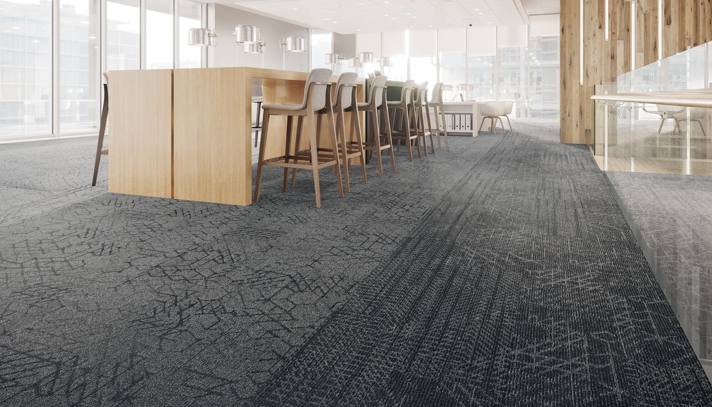 Visual Edge | Mohawk Group