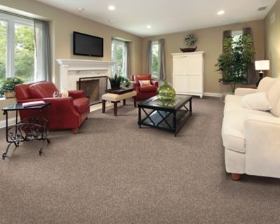 Softly Elegant I, Autumn Ash, Carpet | Mohawk Flooring