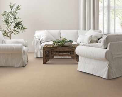Global Perspective, Powerful, Carpet | Mohawk Flooring