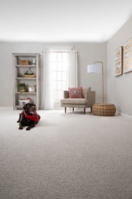Easy to Clean Carpet for Any Home | Mohawk SmartStrand