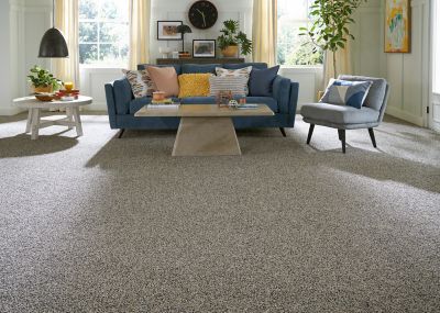 Pet Friendly Flooring Technology | Mohawk Flooring