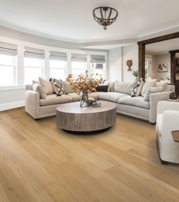 Shop Karastan Carpet, Wood & LVP | Karastan