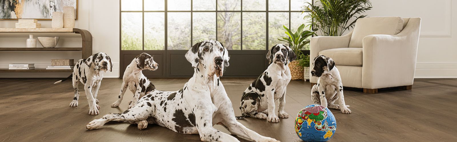 Pergo Laminate, Luxury Vinyl & Hardwood Flooring | PERGO