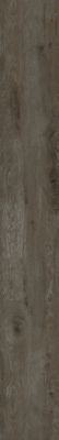 Style: Molveno Woods(C0110) | Color: Warmstone(858) | Mohawk Group