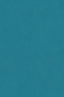 Style: Medella(C2048) | Color: Fresh(535) | Mohawk Group