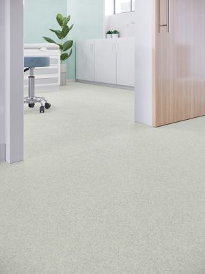 Healthy Environments Homogeneous Resilient Sheet | Resilient Sheet ...