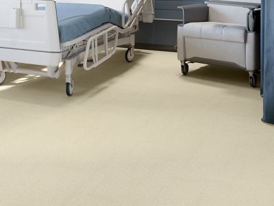 Healthy Environments Homogeneous Resilient Sheet | Resilient Sheet ...