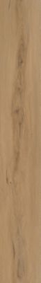 Style: Secoya 2.5(C2103) | Color: Amber Maple(842) | Mohawk Group