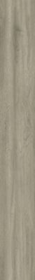 Style: Vivid Step Wood(CR705) | Color: Shimmering Sand(W128) | Mohawk Group