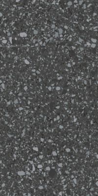 Style: Terrazzo(C0180) | Color: Valle De Bove(989) | Mohawk Group
