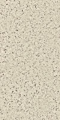 Style: Creative Terrain(C0181) | Color: Pumice(748) | Mohawk Group
