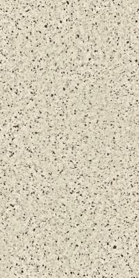 Style: Creative Terrain(C0181) | Color: Pumice(748) | Mohawk Group