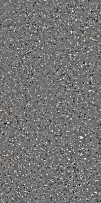 Style: Creative Terrain(C0181) | Color: Graphite(987) | Mohawk Group