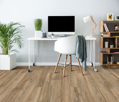 Quickstep - Contact Us