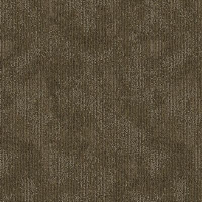Style: Statement Stone(BT390) | Color: Canyon Clay(862) | Mohawk Group