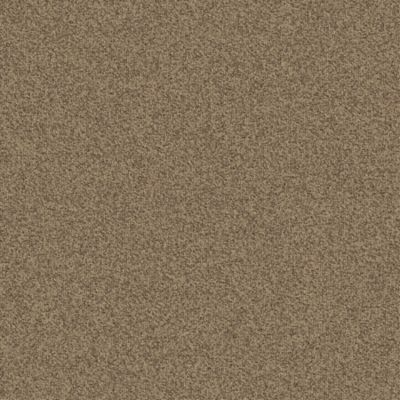 Style: Mindful Tile(BT446) | Color: Praline(748) | Mohawk Group