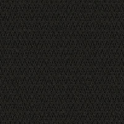 Style: First Step II(GT315) | Color: Obsidian(989) | Mohawk Group