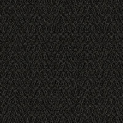 Style: First Step II(GT315) | Color: Obsidian(989) | Mohawk Group