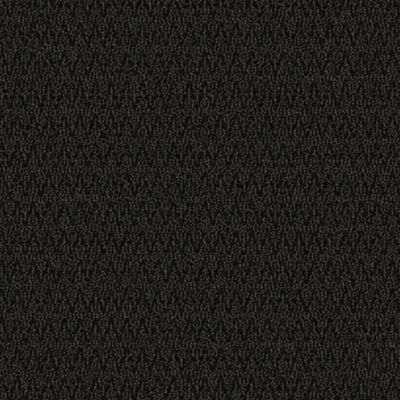 Style: First Step II(GT315) | Color: Obsidian(989) | Mohawk Group