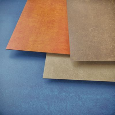 Living Local | Mohawk Group