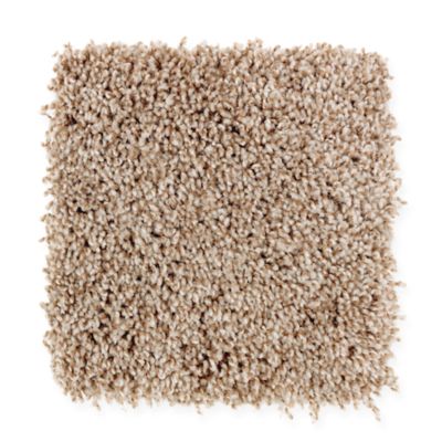 Perfect Attraction, Wilderness, Carpet | Mohawk Flooring