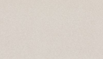 Radiant Surface, Urban, Carpet | Mohawk Flooring