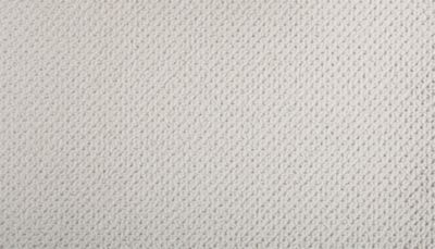 Casual Elegance, Silver Fox, Carpet | Mohawk Flooring