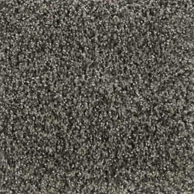 Carpet | Karastan