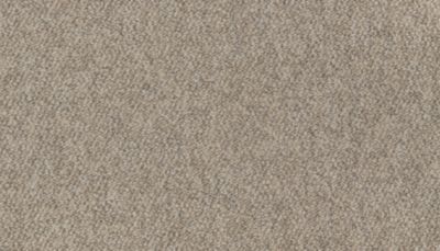 Enduring Amazement, Serenity, Carpet | Mohawk Flooring