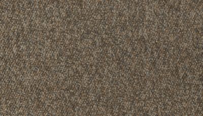 Enduring Amazement, Ghost Town, Carpet | Mohawk Flooring