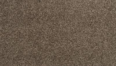 Refreshing Shades, Allure, Carpet | Mohawk Flooring