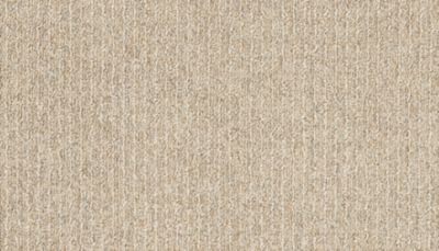 Detailed Comfort, Timeless, Carpet | Mohawk Flooring