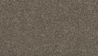 Revive, Steelbeam, Carpet | Mohawk Flooring