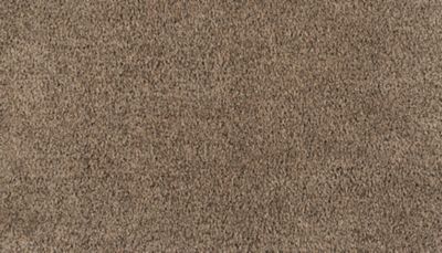 Reverie, Regal, Carpet | Mohawk Flooring