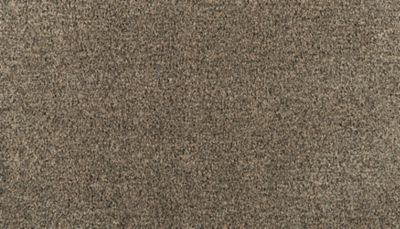 Reverie, Majestic, Carpet | Mohawk Flooring
