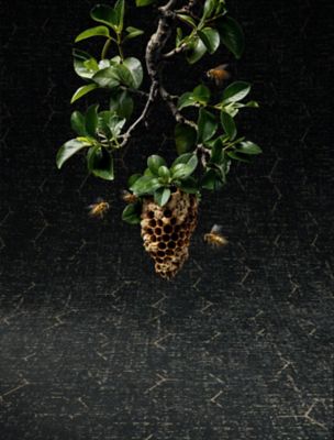 Design Days | Mohawk Group