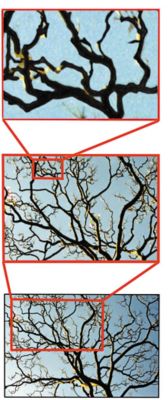 Fractal Design | A Stress Reductive Approach to Design | Mohawk Group