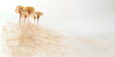 NeoCon | Mohawk Group