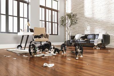 Pergo Laminate, Luxury Vinyl & Hardwood Flooring | PERGO