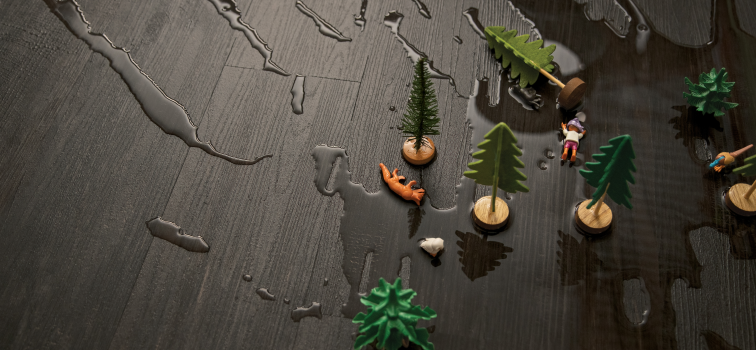 Pergo Extreme Wood Originals | Bone