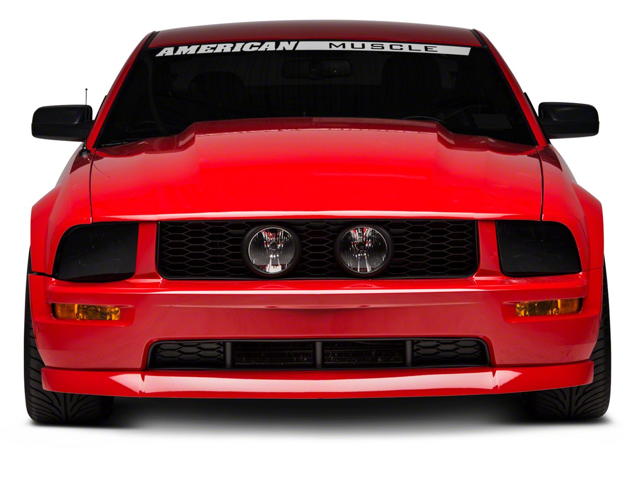 Cervini's Mustang Cobra R Hood - Unpainted 1207 (05-09 GT, V6) - Free ...