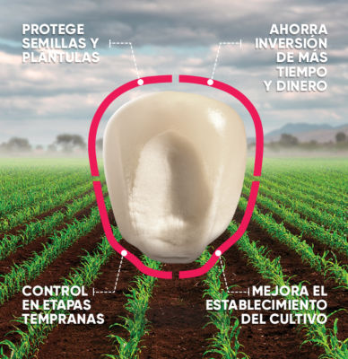 Tratamento de Semillas | Corteva Agriscience™