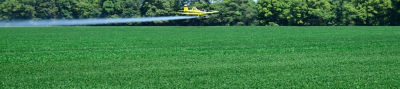 Intrepid 2F® Insecticide – Crop Protection