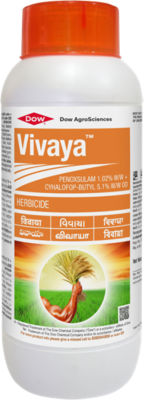 Vivaya | Crop Protection | Corteva Agriscience