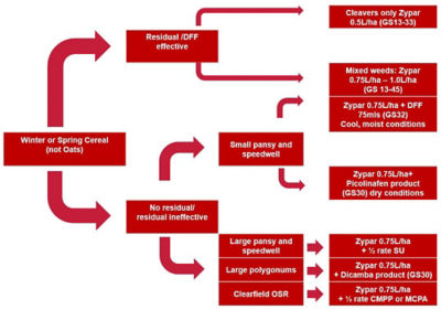 Zypar™ | Corteva Agriscience