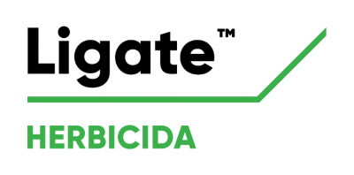 Ligate® | Protección de Cultivos | Corteva Agriscience