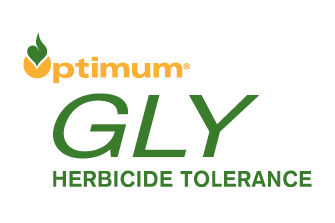 Traits | Brevant seeds