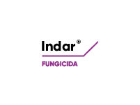 Indar 2F | Protección de Cultivos | Corteva Agriscience